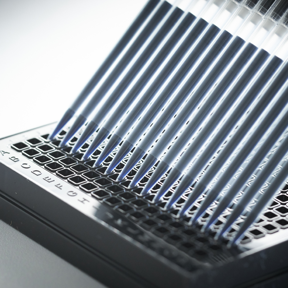Assays, Biophysics, Screening for Drug Discovery Assays, Biophysics, Screening for Drug Discovery